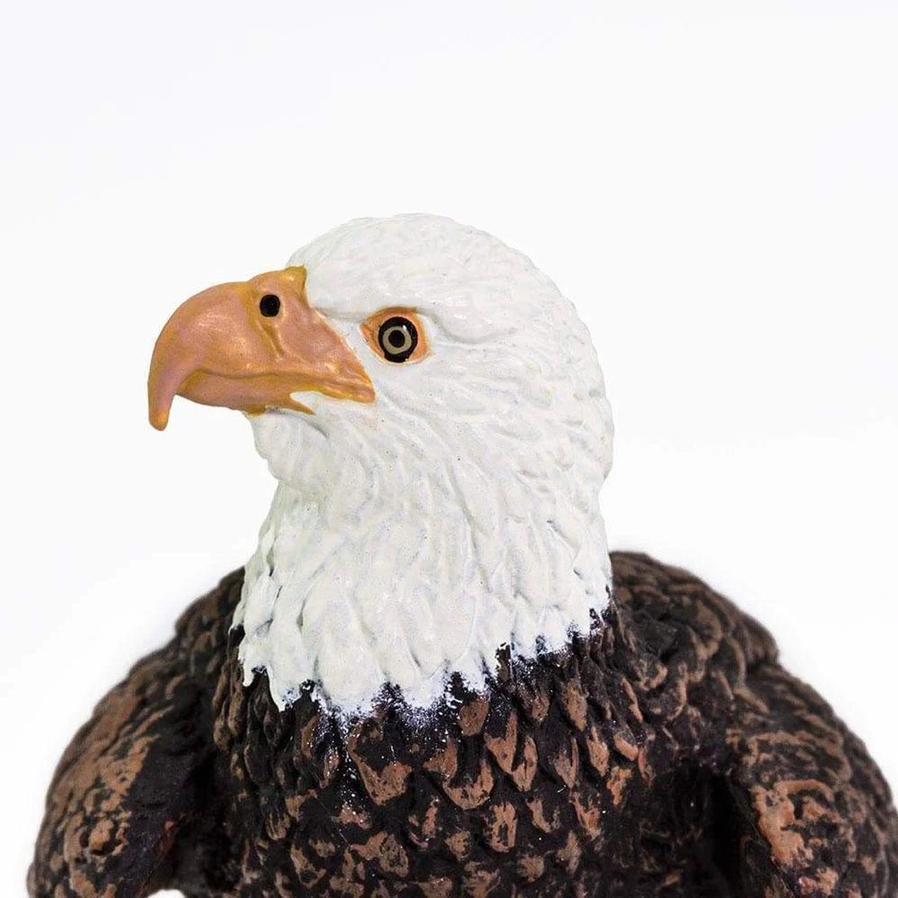 Bald Eagle - Safari Ltd – Timeless Toys