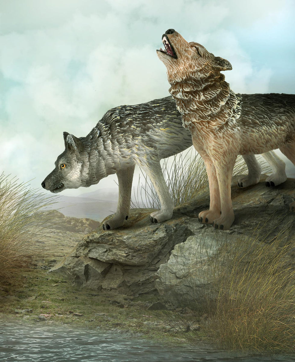 CollectA Timber Wolf (howling) – Timeless Toys