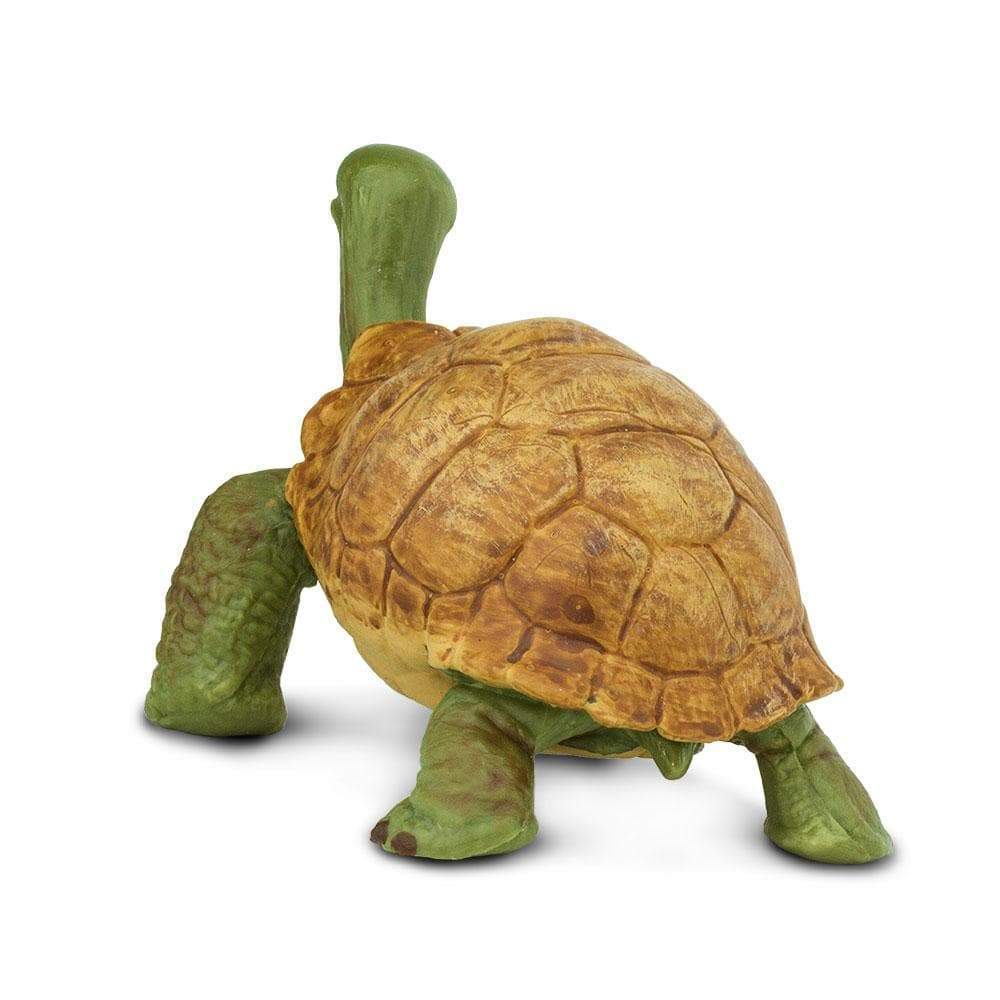 Giant Tortoise by Safari Ltd – Timeless Toys