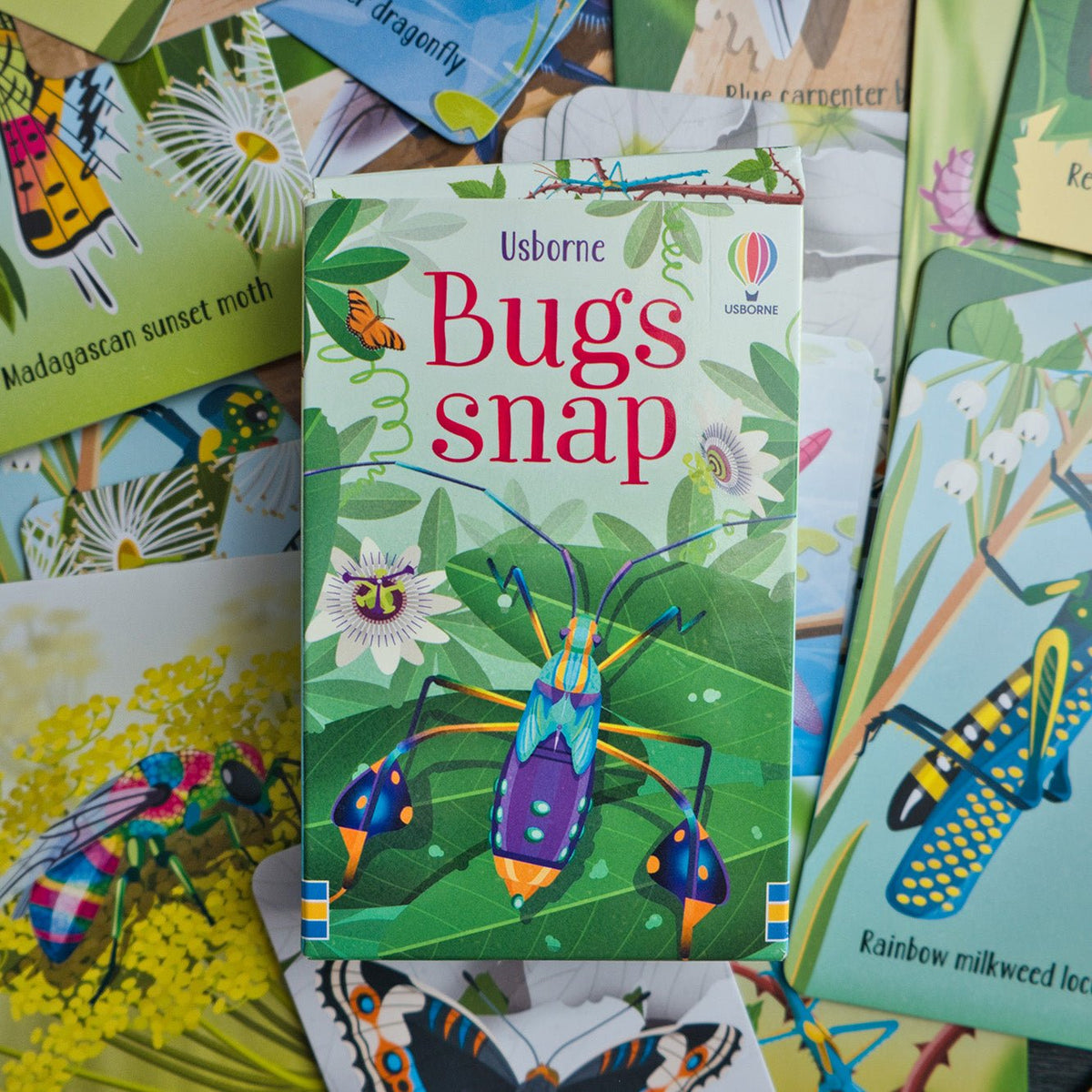 Usborne - Bugs Snap Cards – Timeless Toys